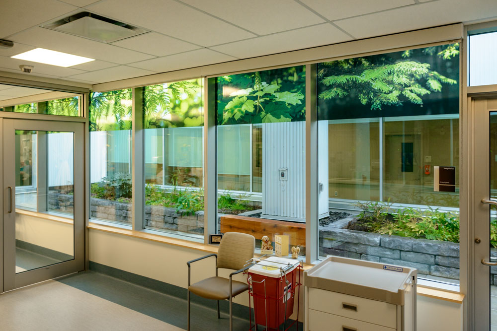 The Positive Impact Nature-Based Art Makes in Healthcare Facilities ...