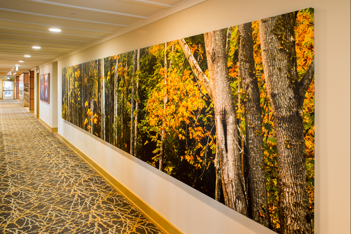 The Positive Impact Nature-Based Art Makes in Healthcare Facilities ...