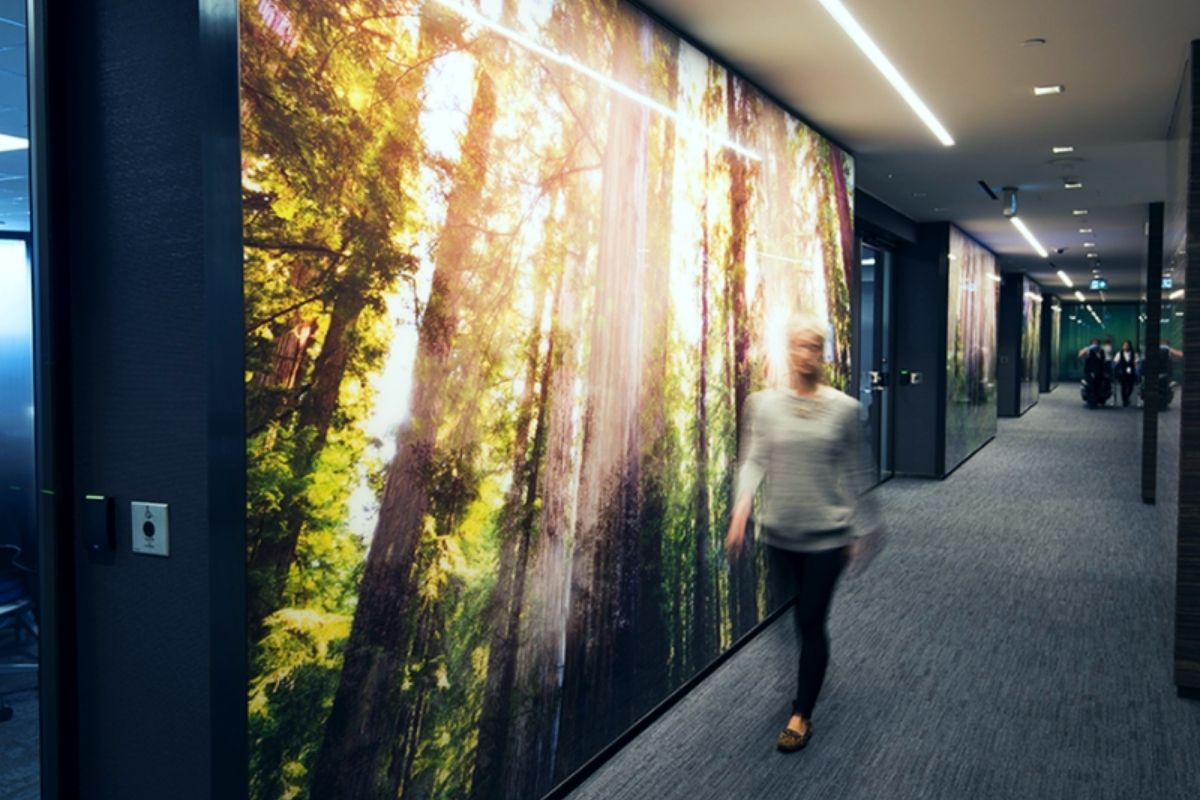 How to Choose the Perfect Wallcoverings for Your Commercial Space ...